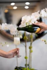 Elase Med Spa Florida | Aesthetics & Wellness Treatments